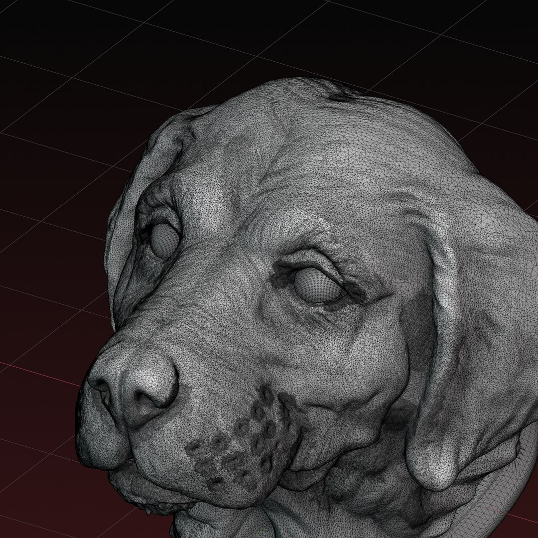 3D Dog Head Model - TurboSquid 2187101