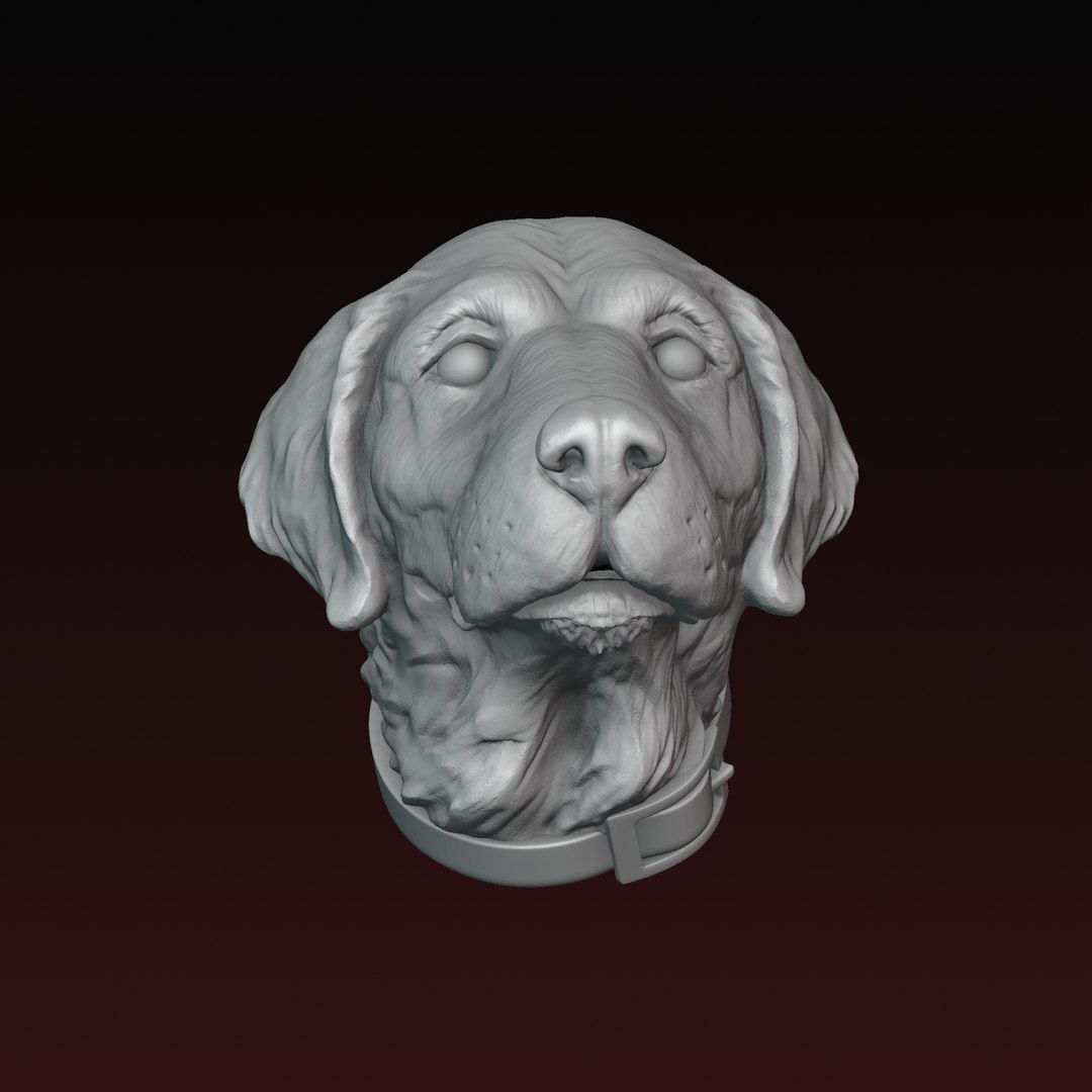 3D Dog Head Model - TurboSquid 2187101