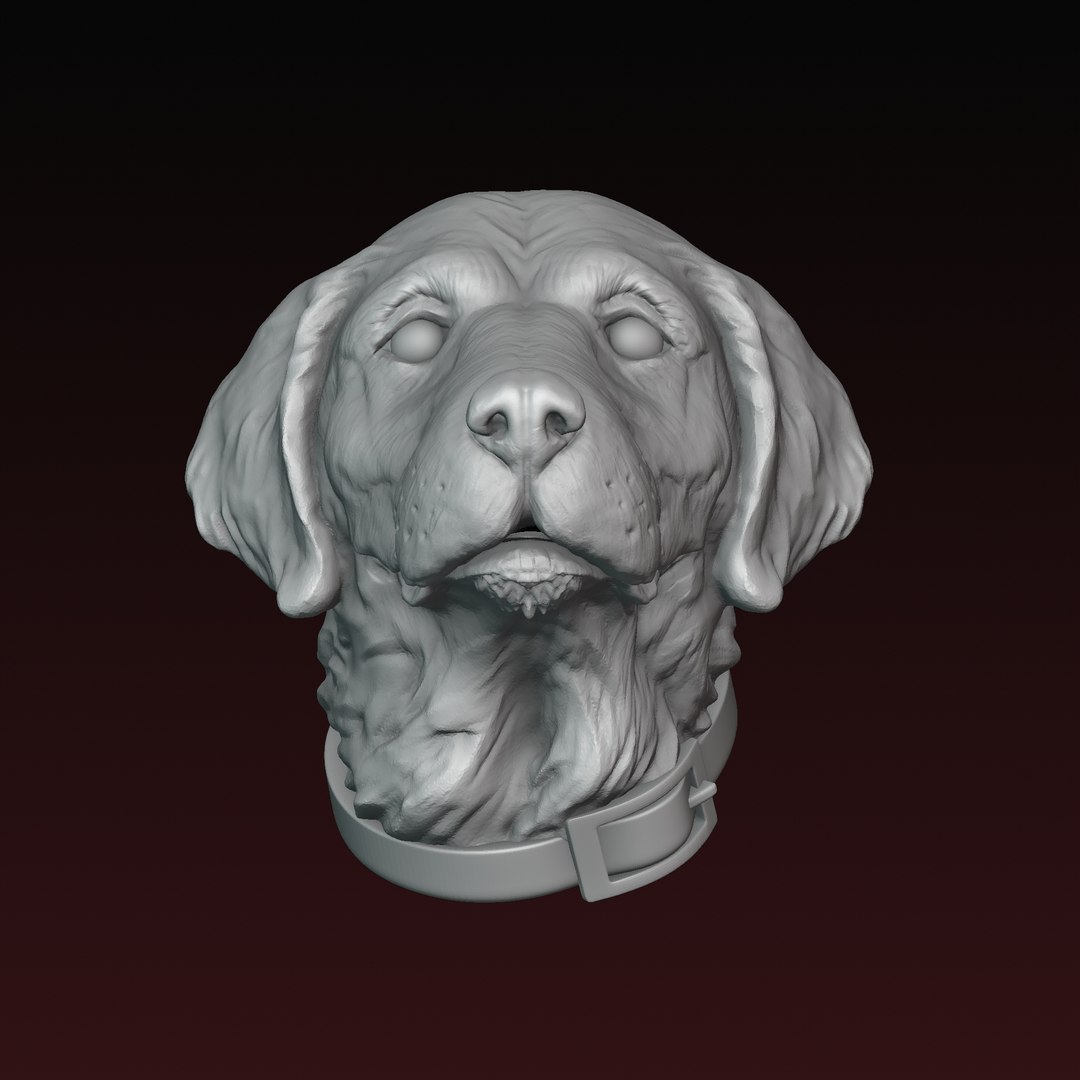 3D Dog Head Model - TurboSquid 2187101