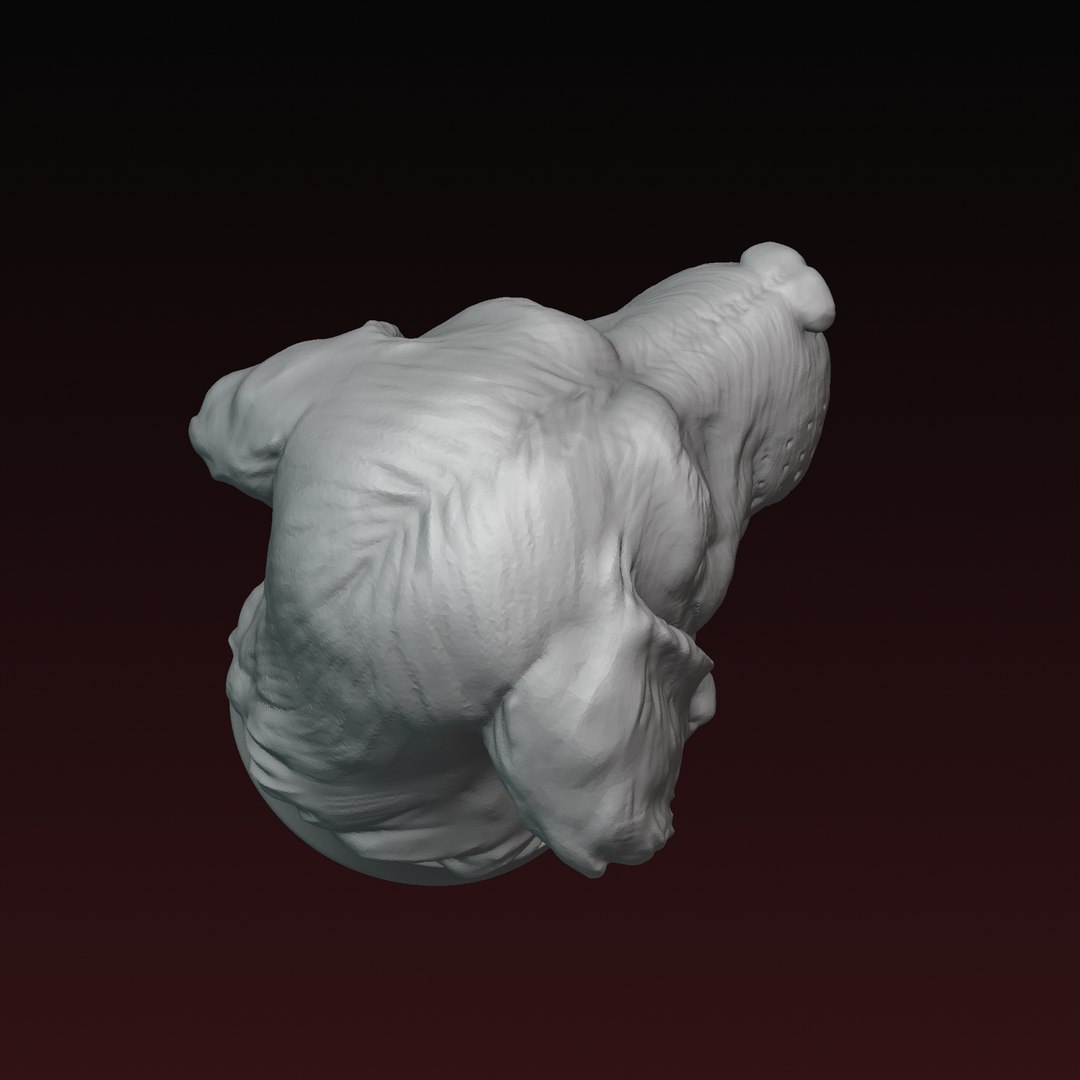 3D Dog Head Model - TurboSquid 2187101