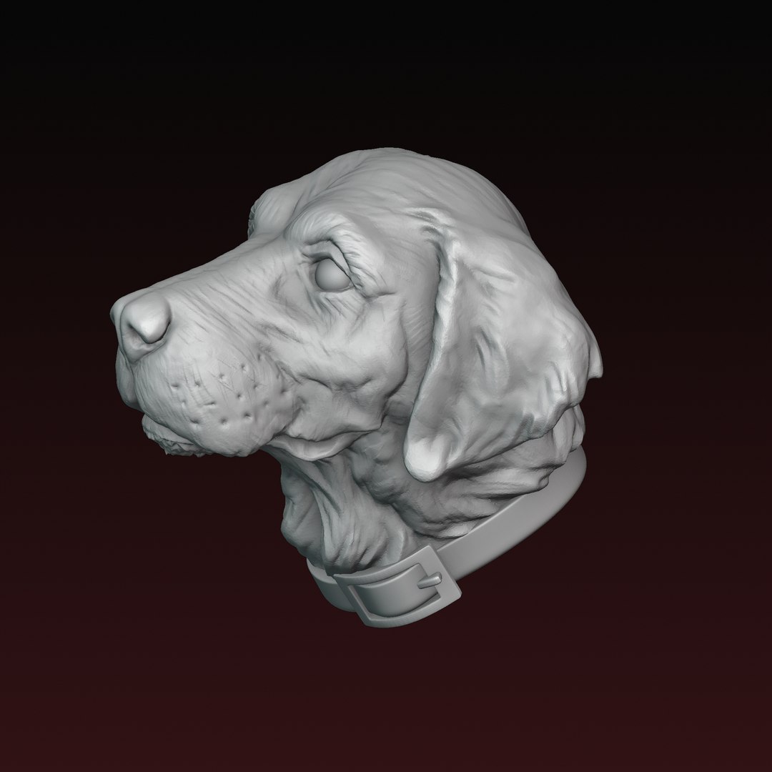 3D Dog Head Model - TurboSquid 2187101