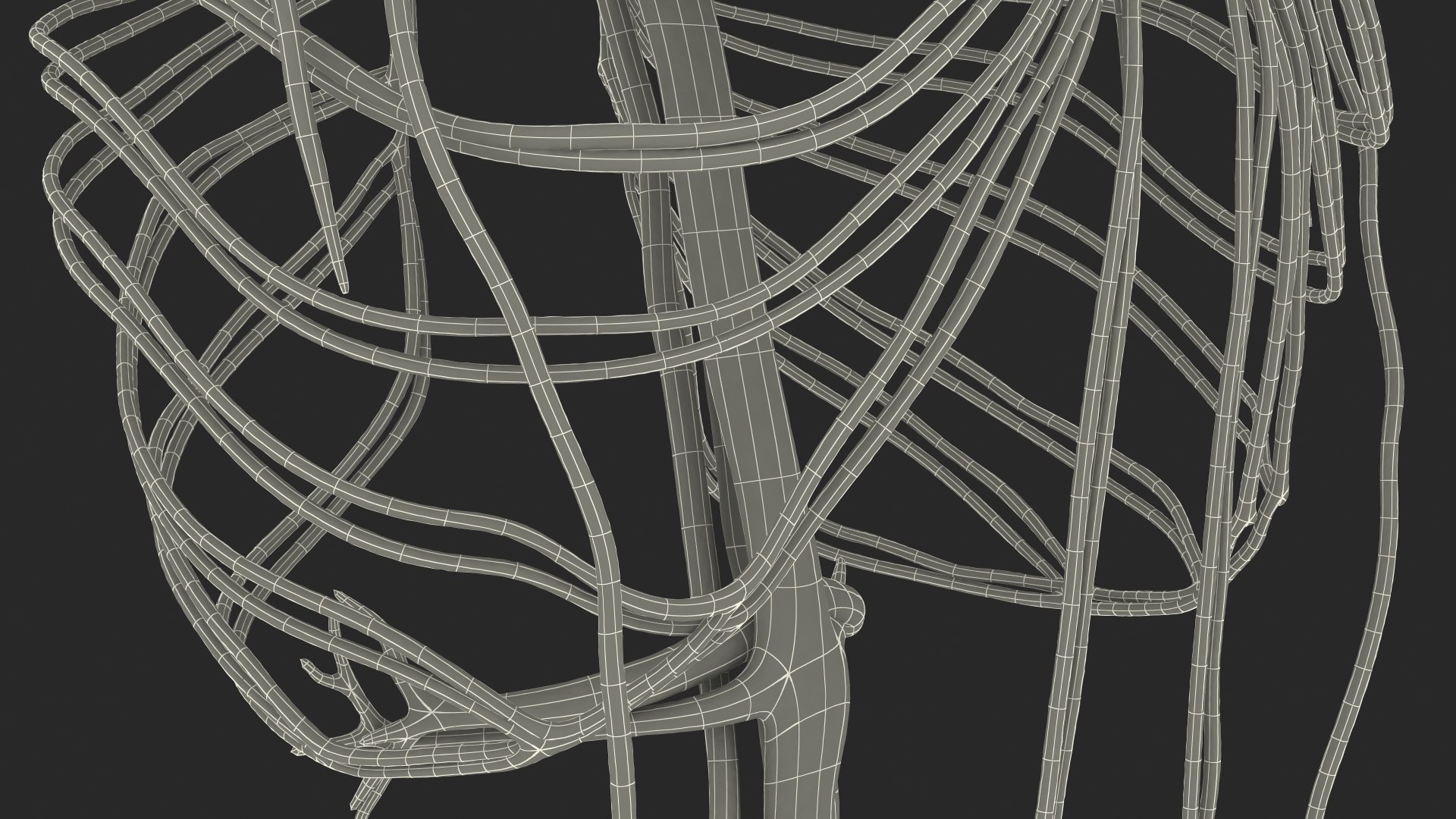 Human cardiovascular vascular model - TurboSquid 1467045