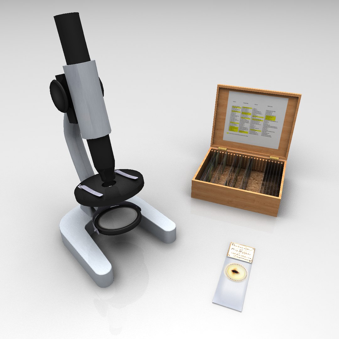 3d Simple Microscope