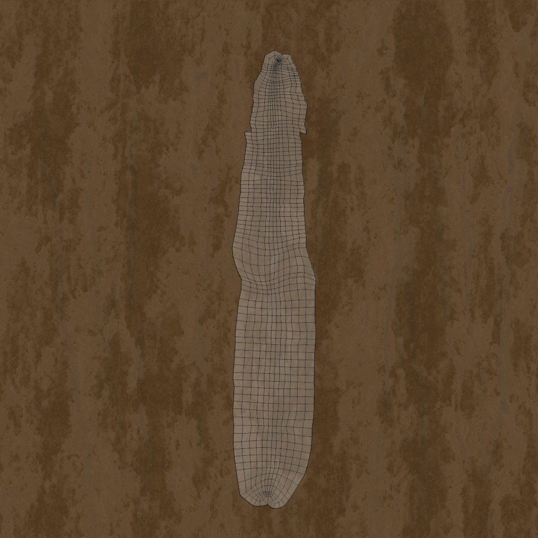 3D Turd Model - TurboSquid 1385834