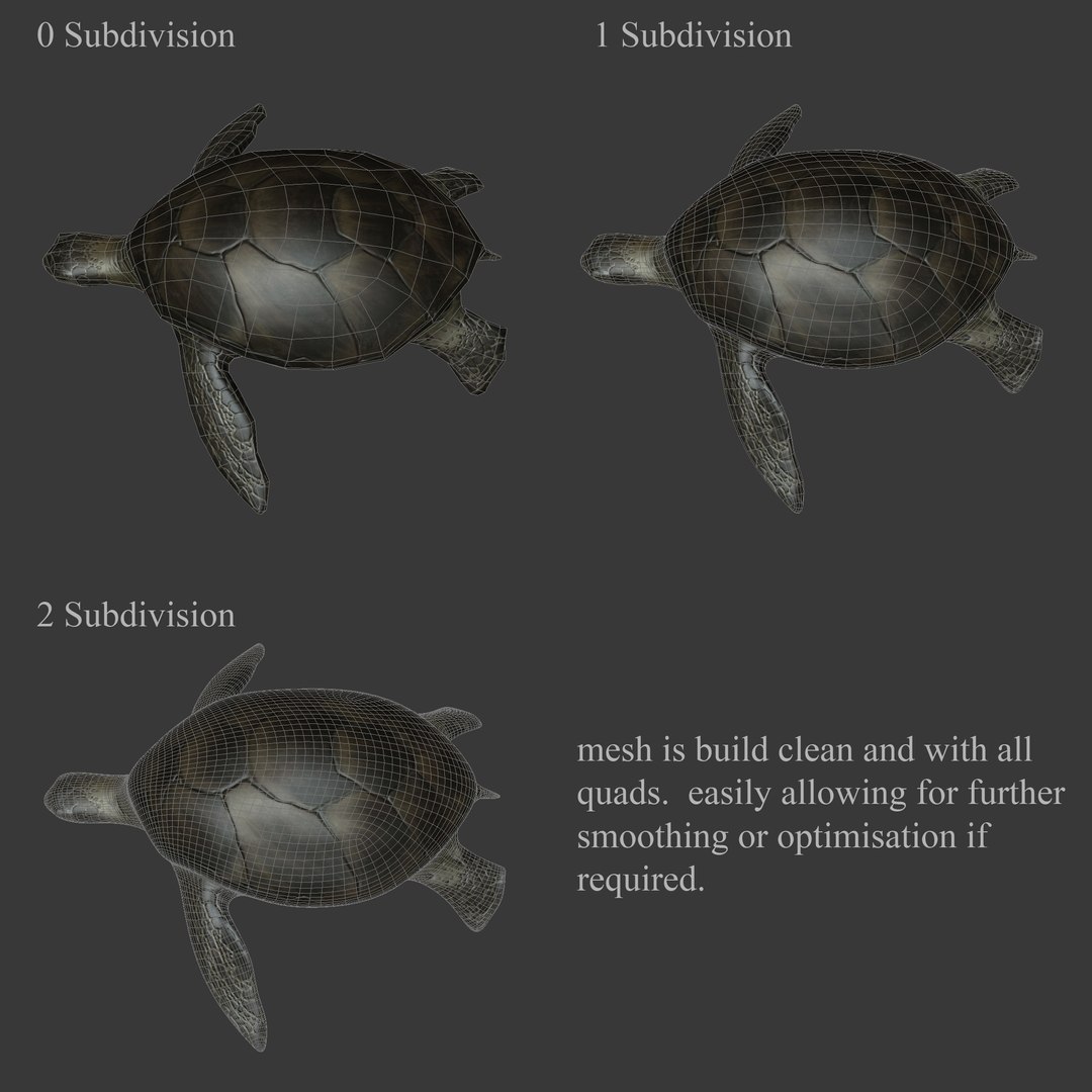 Sea Turtle 3d Obj