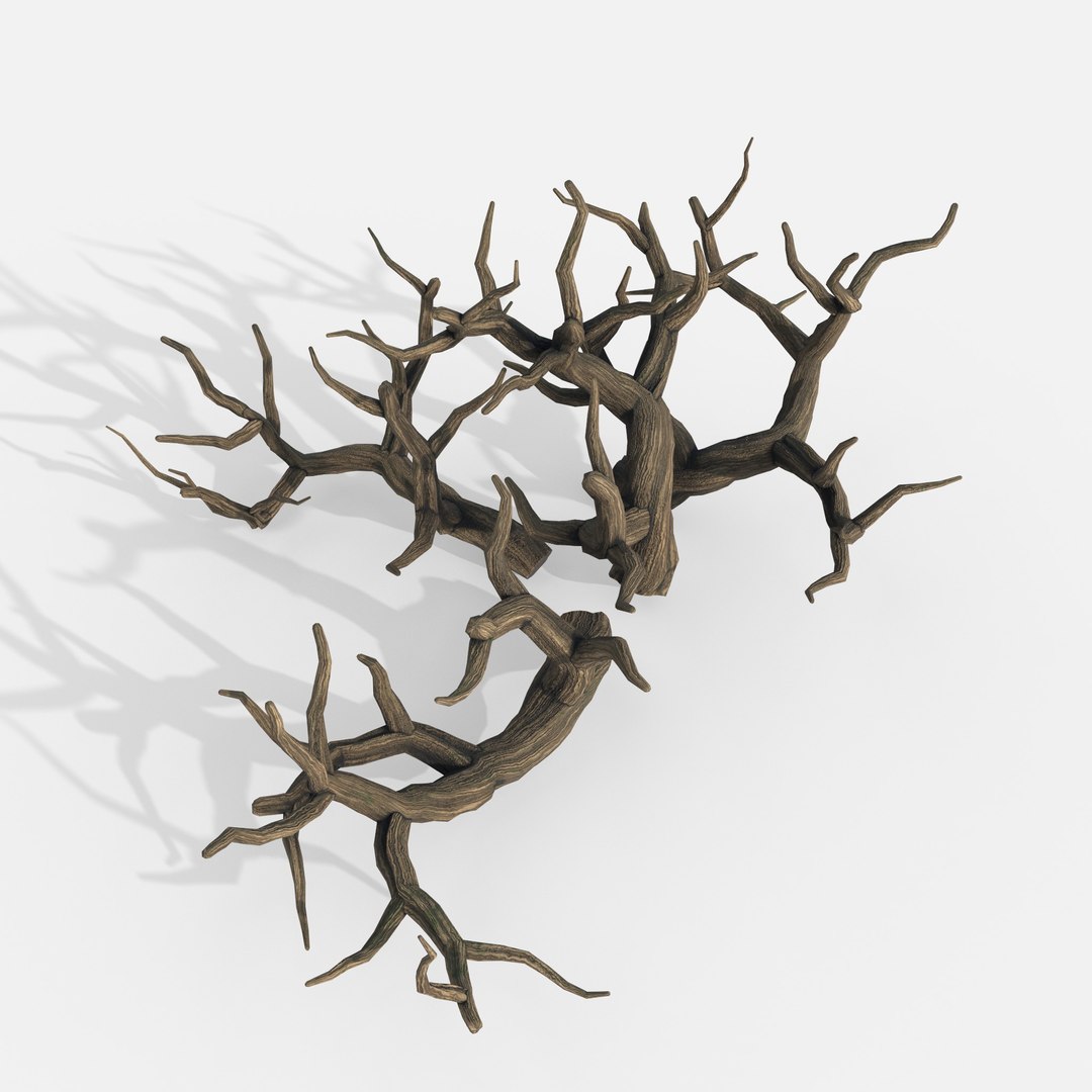 Aquarium Snag Set Model - TurboSquid 2389144