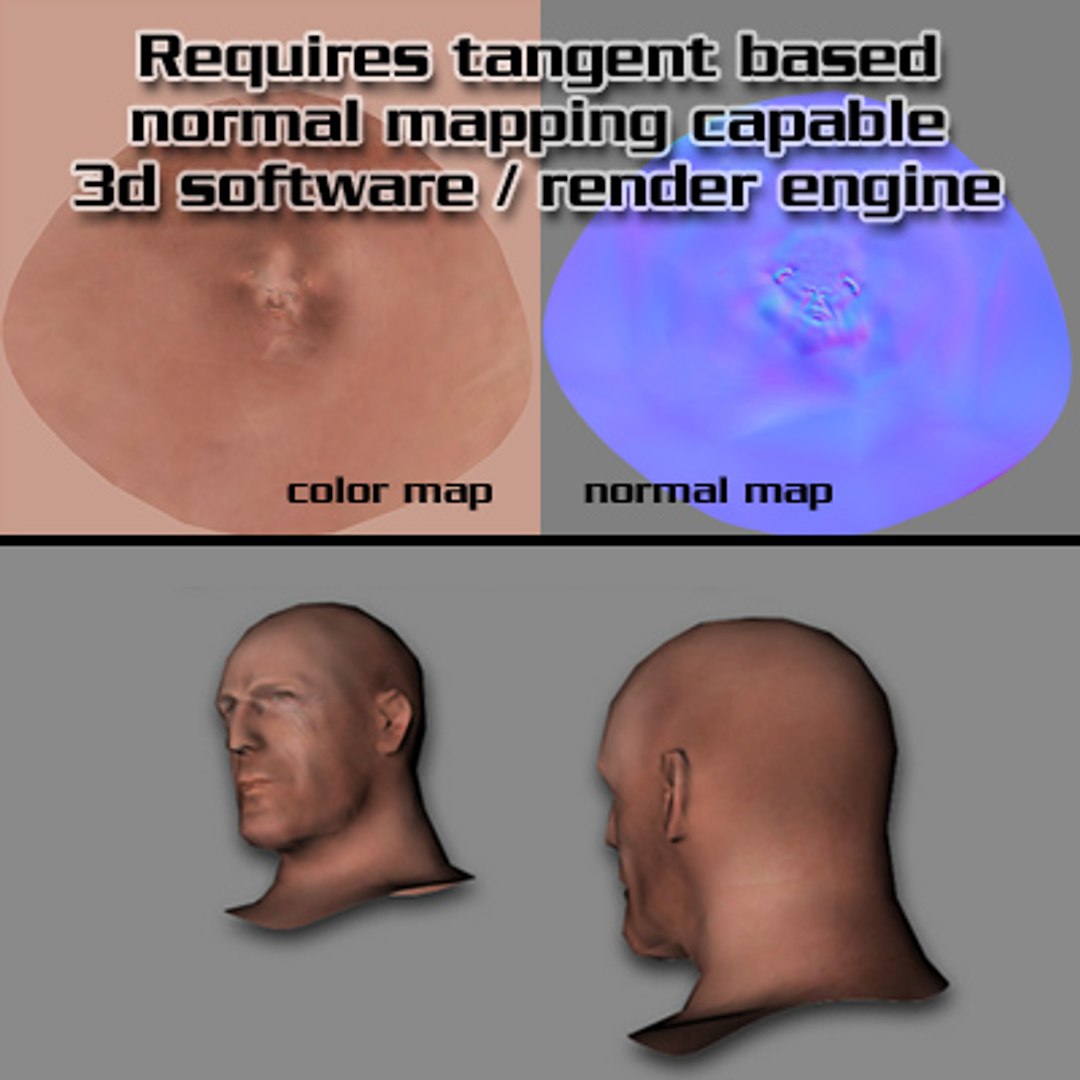 Normal Mapped Male Head 3ds