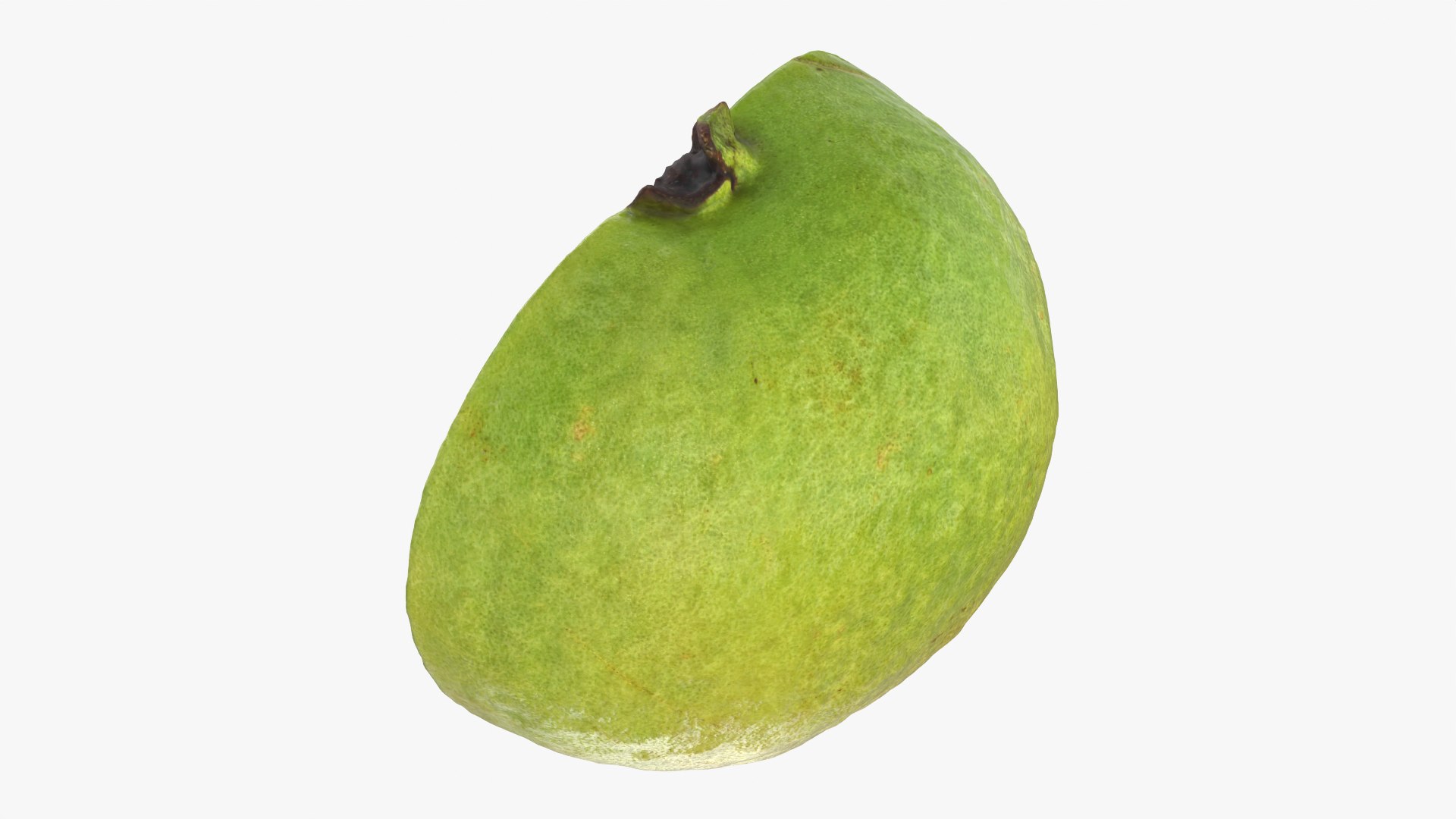 3D Half Pink Guava 02 Model - TurboSquid 2417569