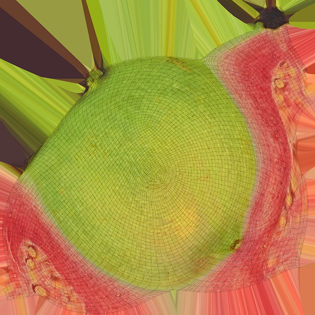 3D Half Pink Guava 02 Model - TurboSquid 2417569