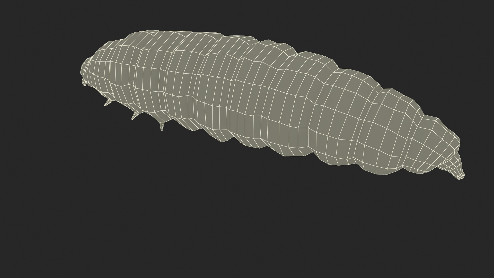 Maggot Fly 3D - TurboSquid 2164647