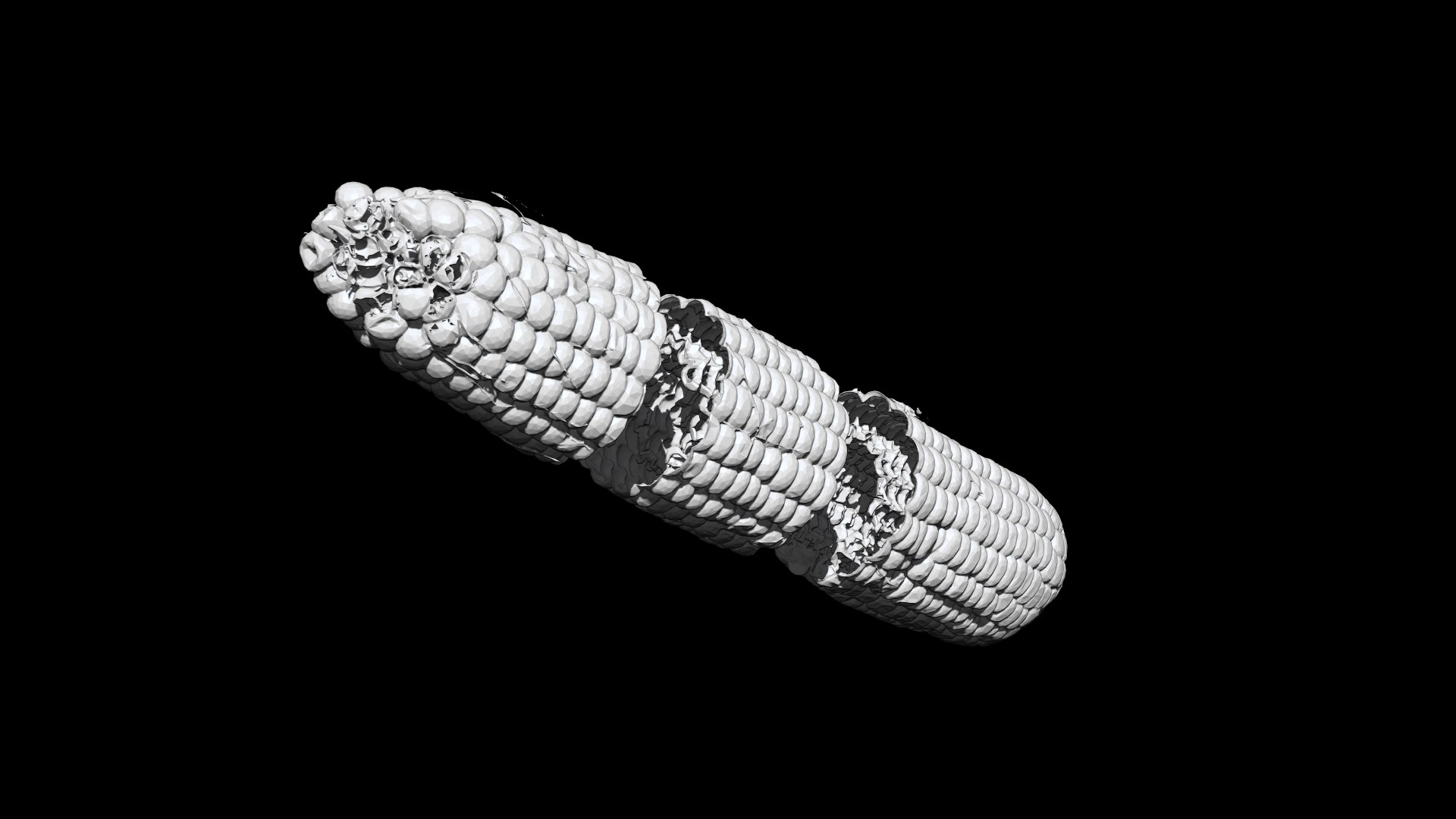 Corn 3D CT Scan Model Cut2 Decimate 8 Percent 3D Model - TurboSquid 1945225