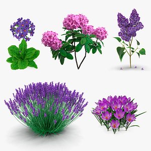 3D Lavender Models | TurboSquid