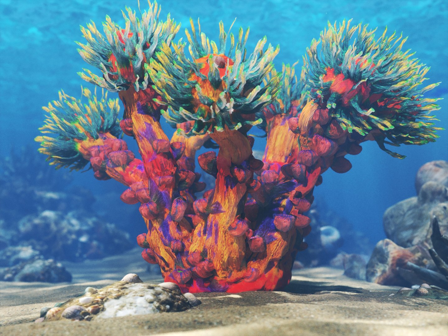 3D Coral Reef Marine Life Model - TurboSquid 2340389