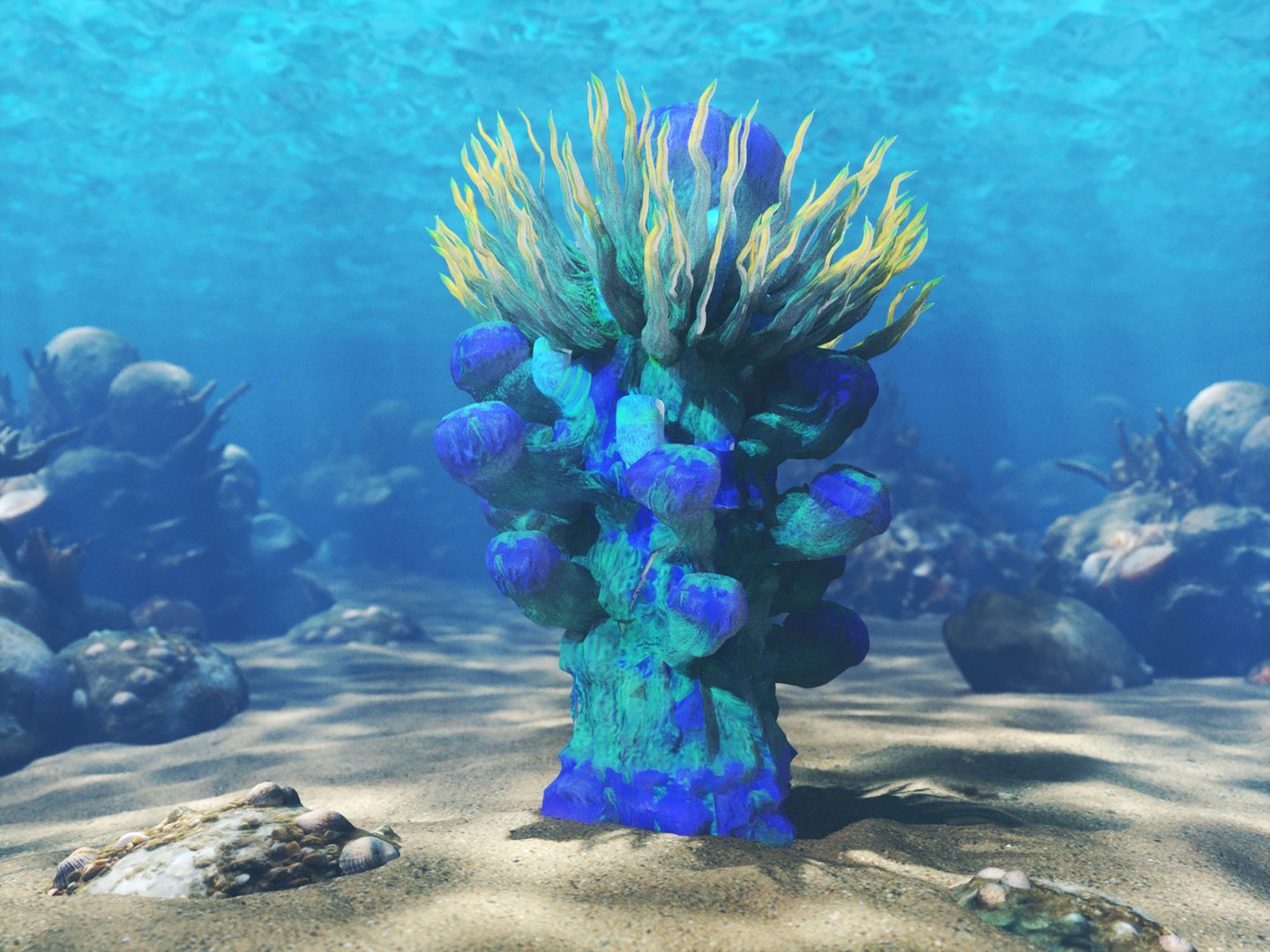 3D Coral Reef Marine Life Model - TurboSquid 2340389