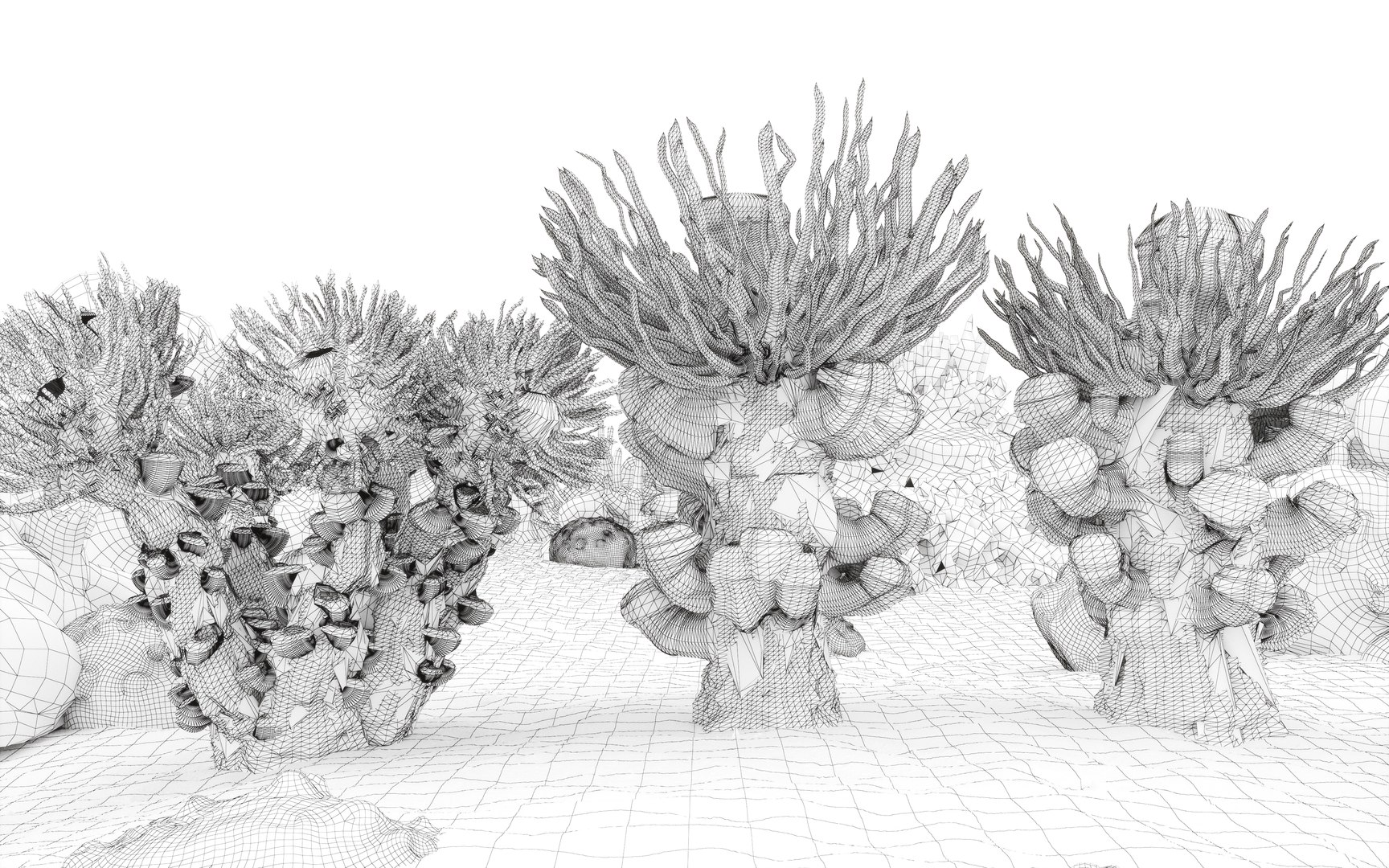 3D Coral Reef Marine Life Model - TurboSquid 2340389