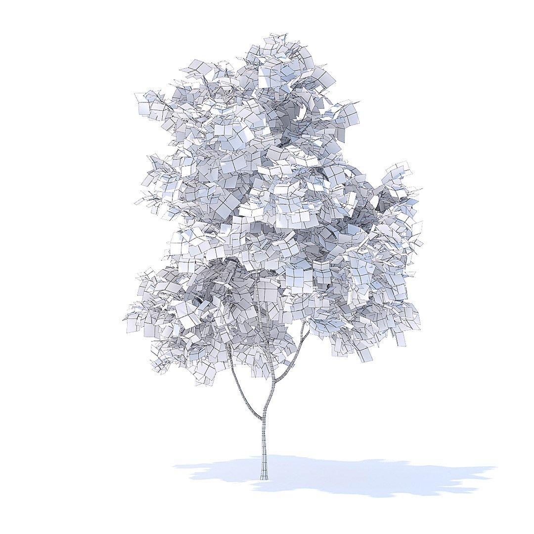 Orange tree 2 1m 3D model - TurboSquid 1253924