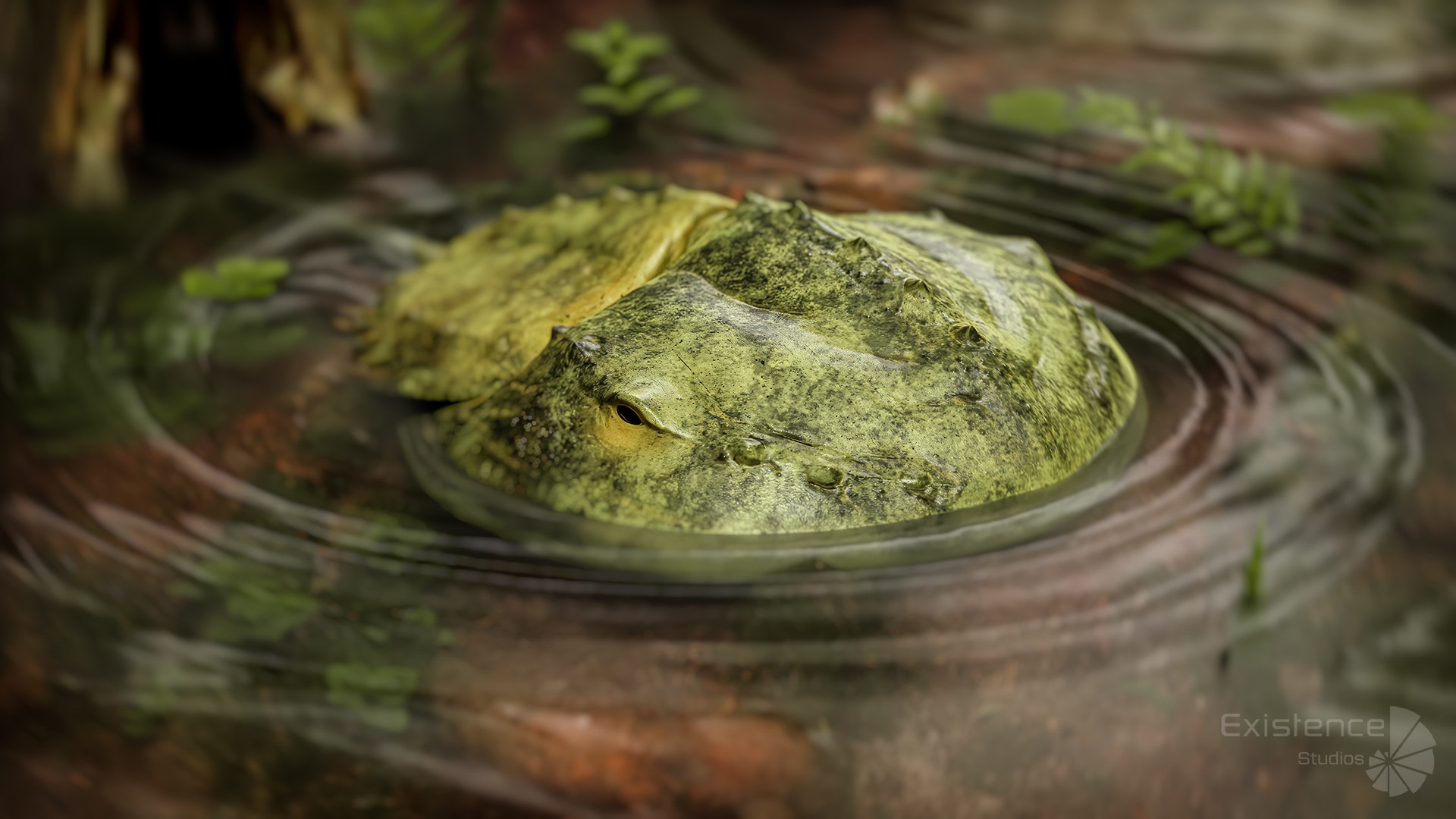 Horseshoe Crab - Trilobite - Realistic 3D Model Monster - Underwater ...