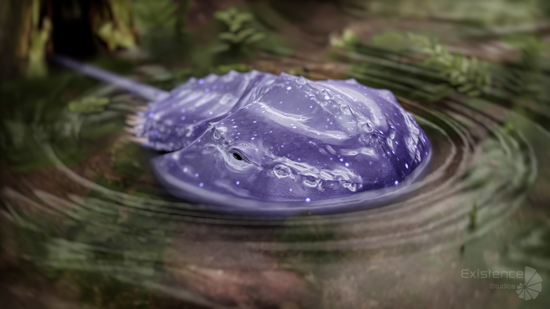 Horseshoe Crab - Trilobite - Realistic 3D Model Monster - Underwater ...
