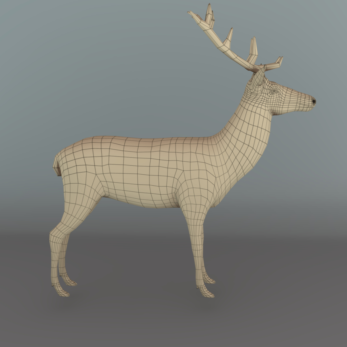 red deer stag 3d 3ds