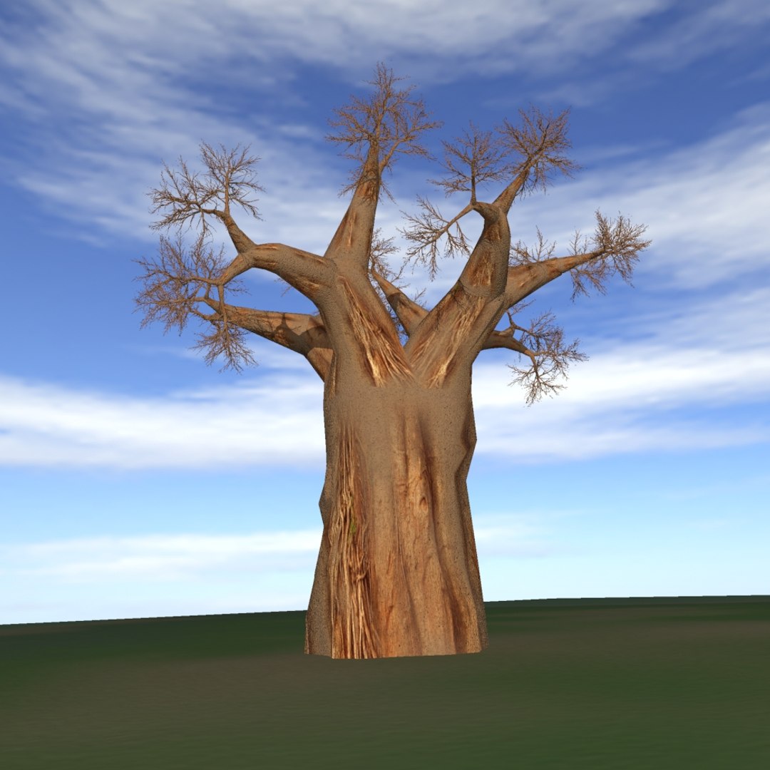 3d Model Of Tree Africa Madagascar
