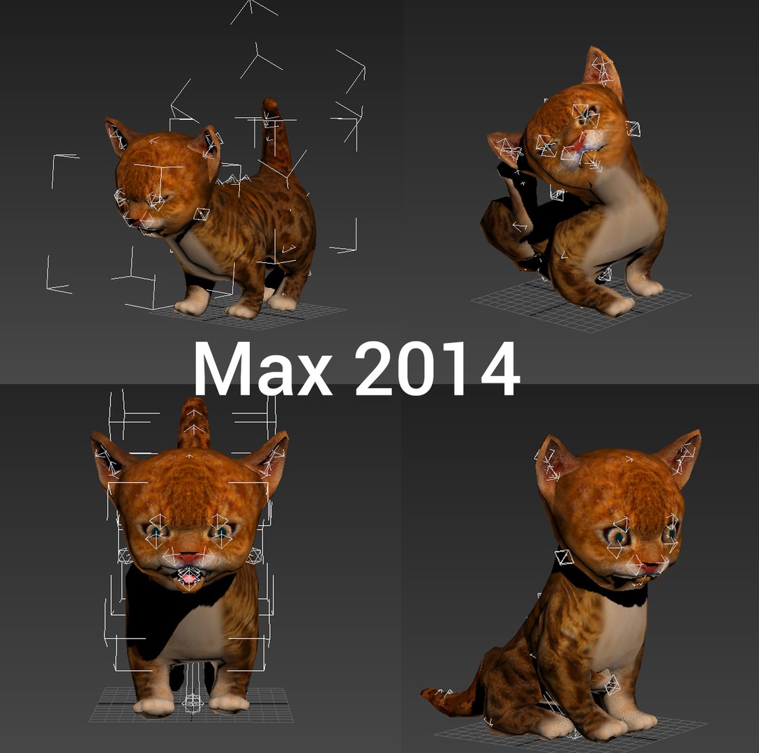Cute Cat Animation 3D Model - TurboSquid 1218470