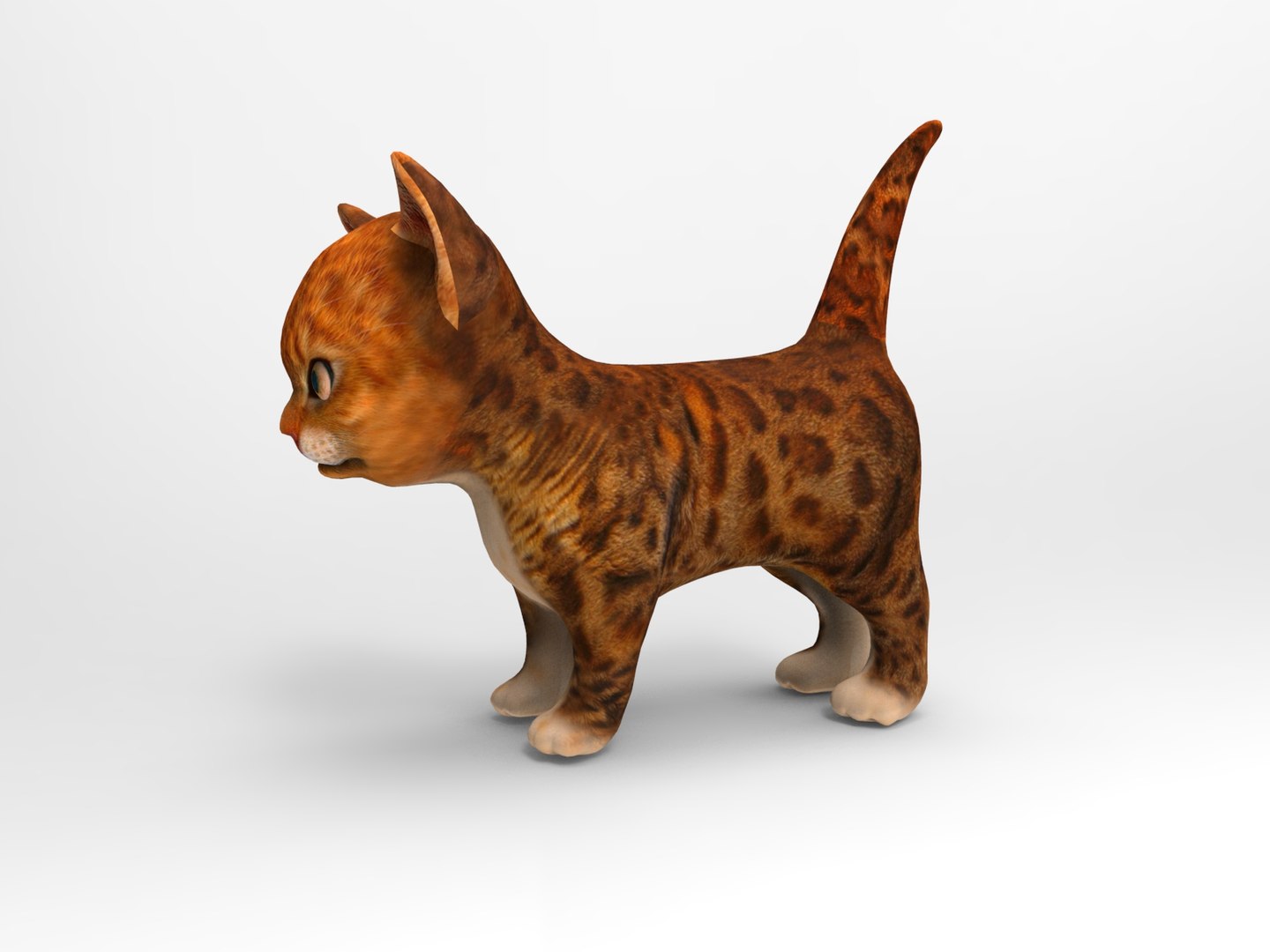 Cute Cat Animation 3D Model - TurboSquid 1218470
