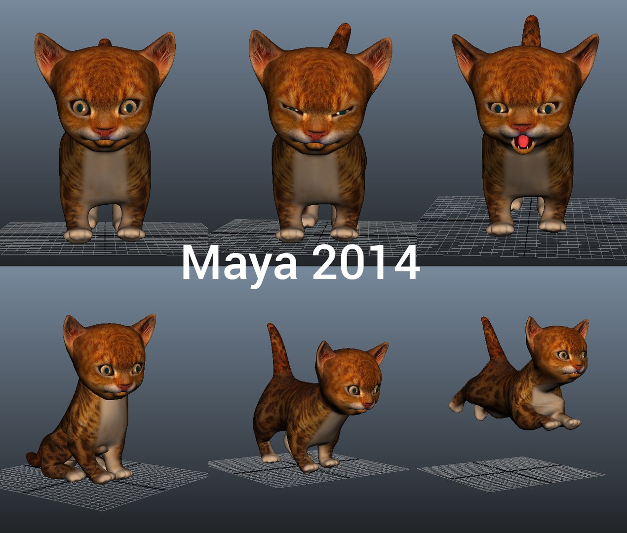 Cute Cat Animation 3D Model - TurboSquid 1218470