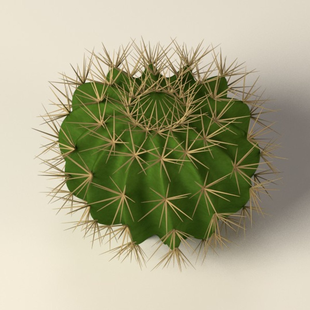cactuses 3d 3ds