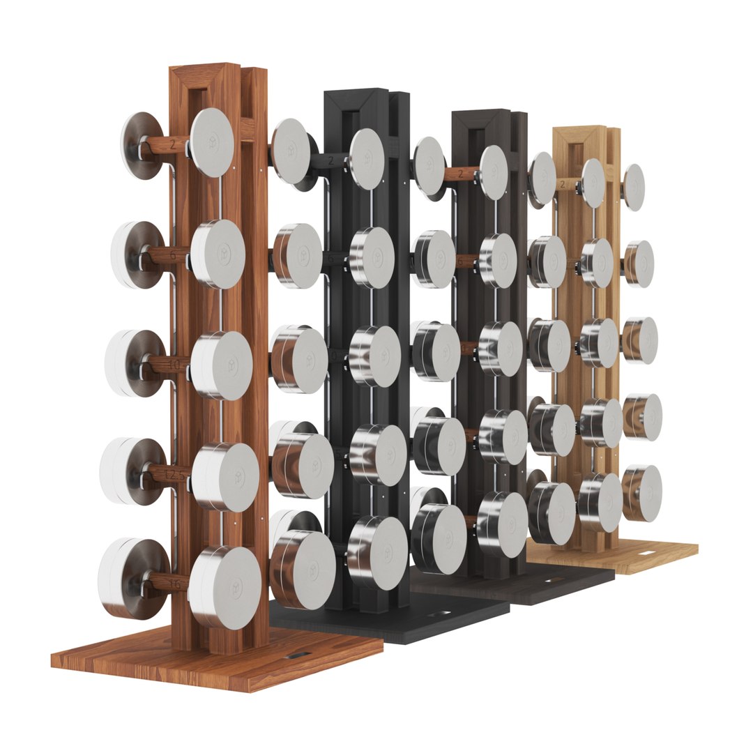 Free 3D Paragon Studio Luxury Gym Equipment - Vertical Dumbbell Rack 5 ...