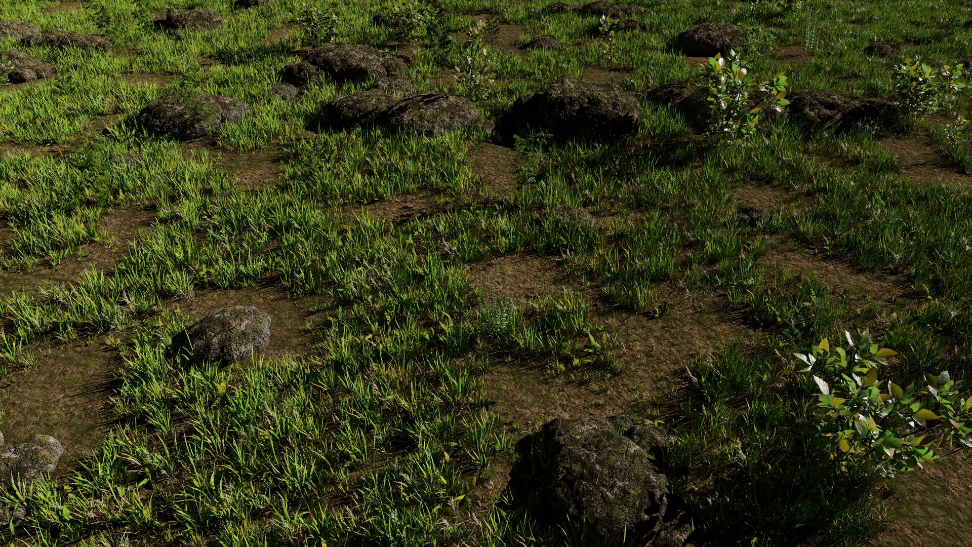 Grass Pack Model - TurboSquid 1864087