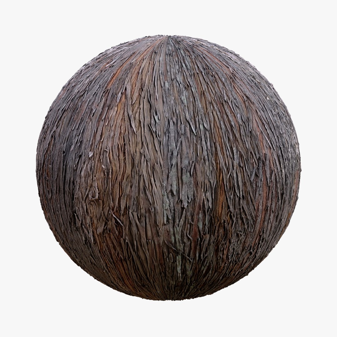 Bald Cypress PBR Tiled Texture 8K 3D Model - TurboSquid 2348620