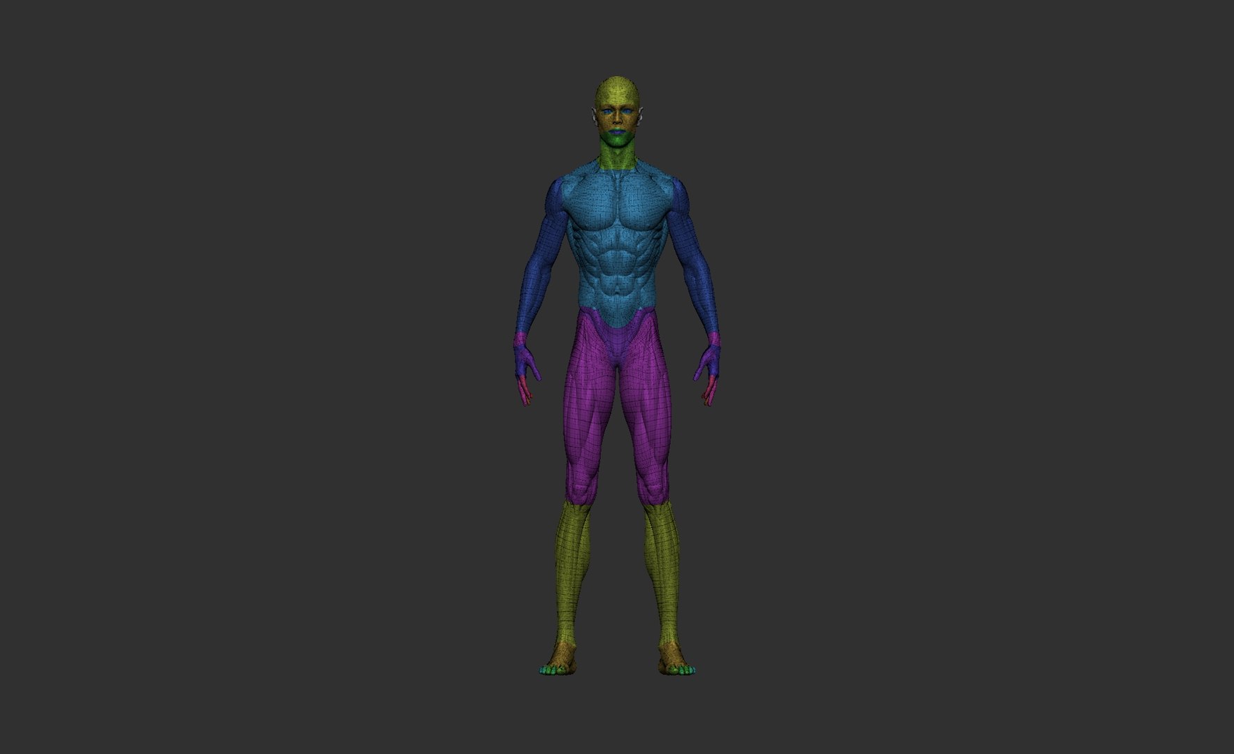 3D Man Anatomy Model - TurboSquid 2315233
