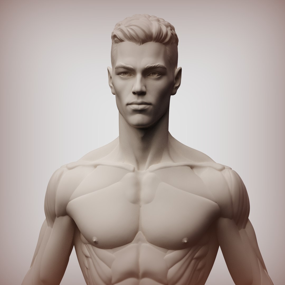 3D Man Anatomy Model - TurboSquid 2315233