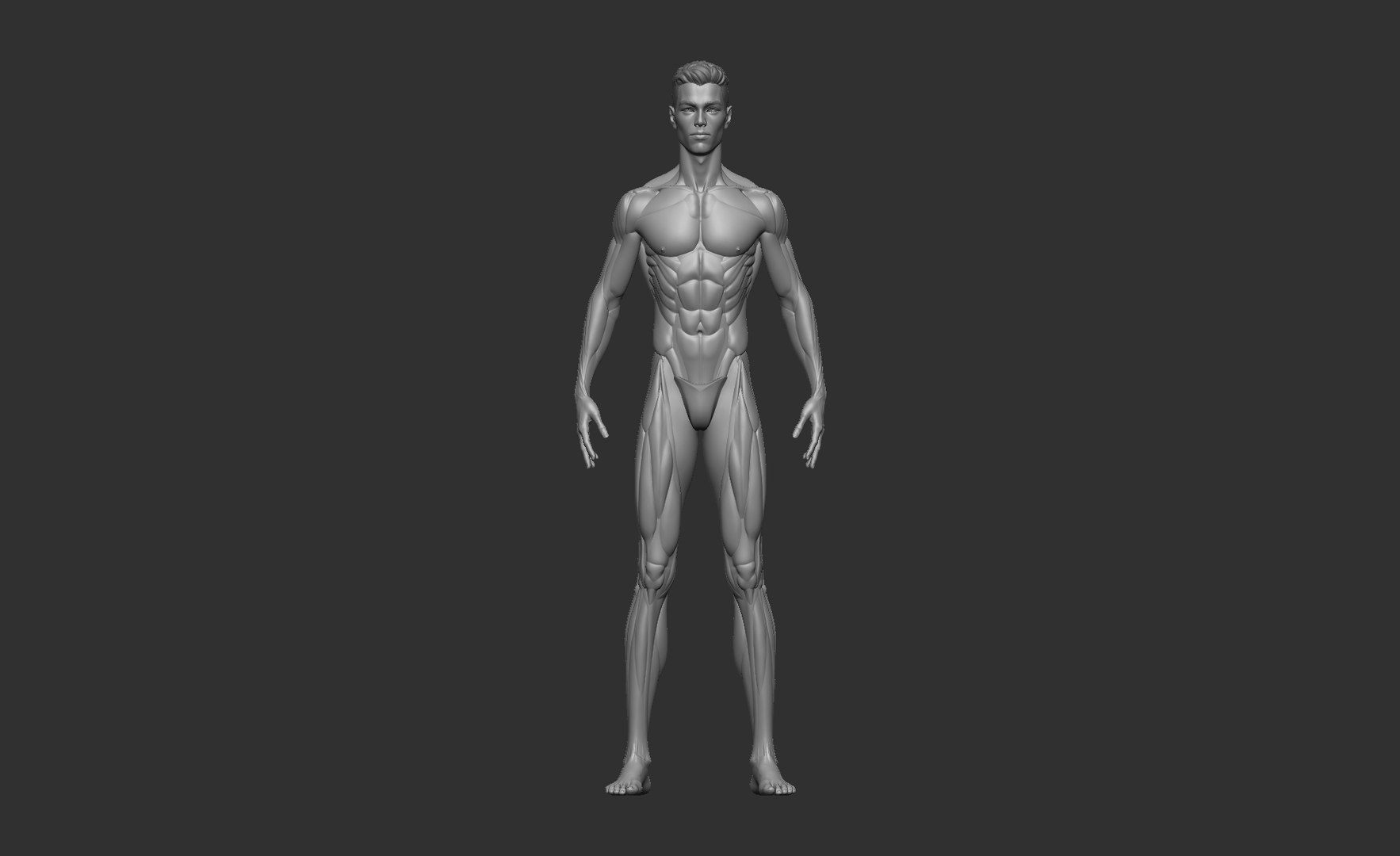 3D Man Anatomy Model - TurboSquid 2315233