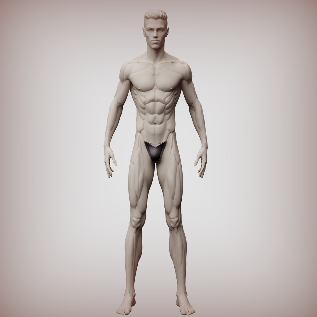 3D Man Anatomy Model - TurboSquid 2315233