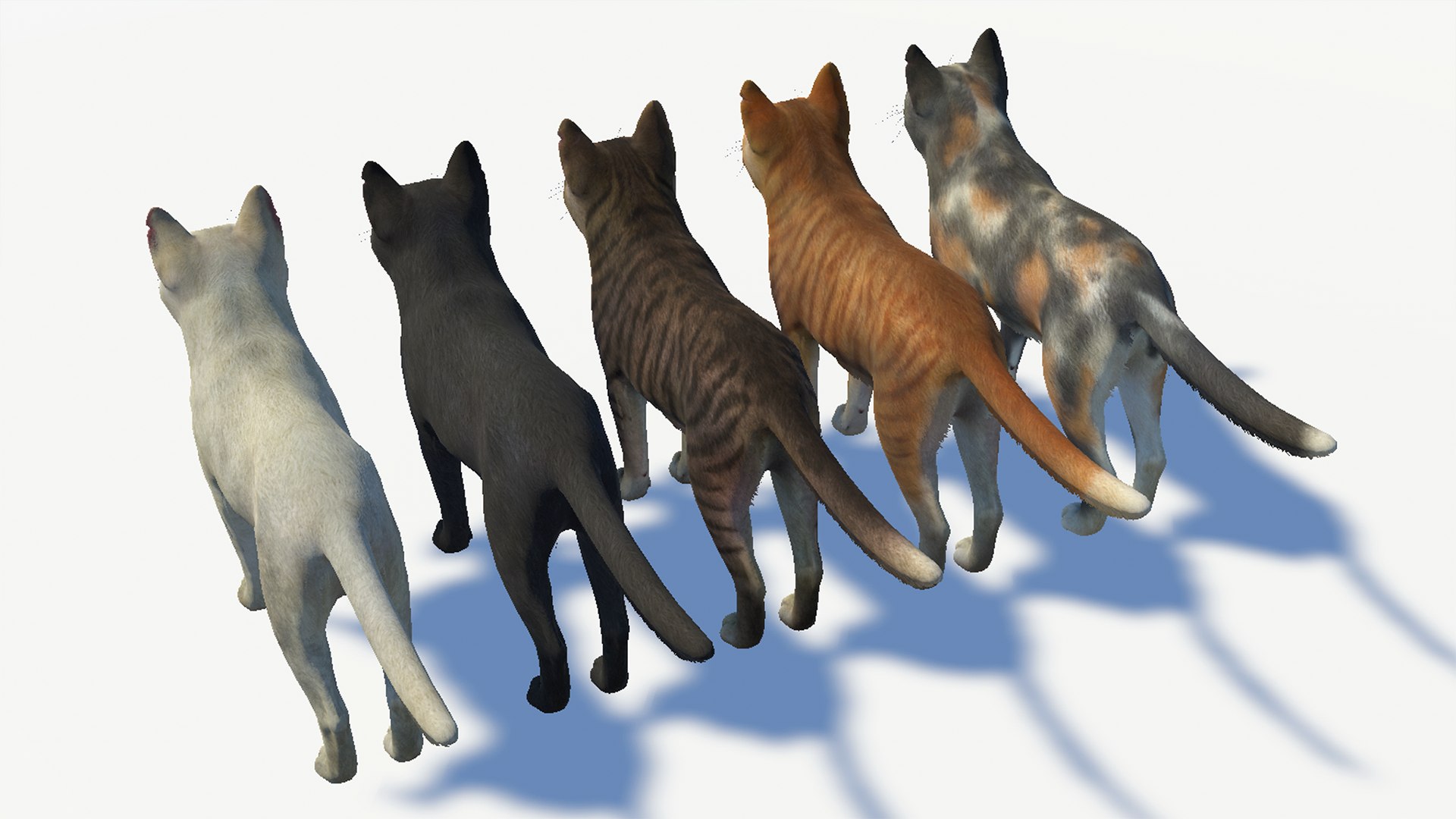 3D Cats -Stray - TurboSquid 2031406