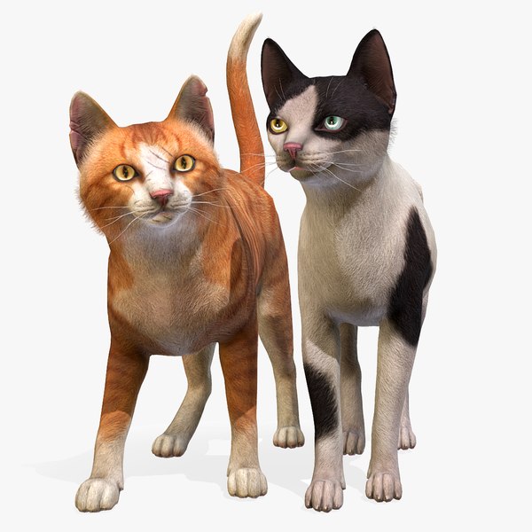 3D Cats -Stray - TurboSquid 2031406