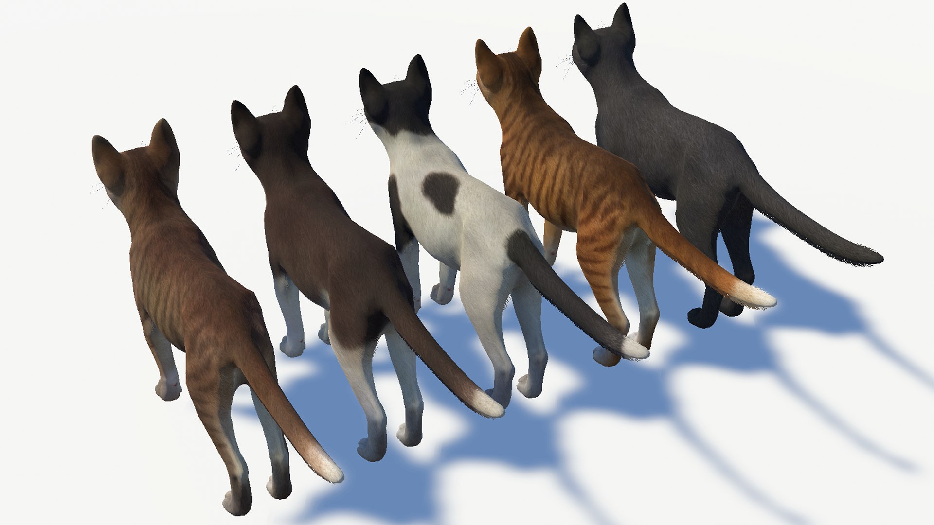 3D Cats -Stray - TurboSquid 2031406