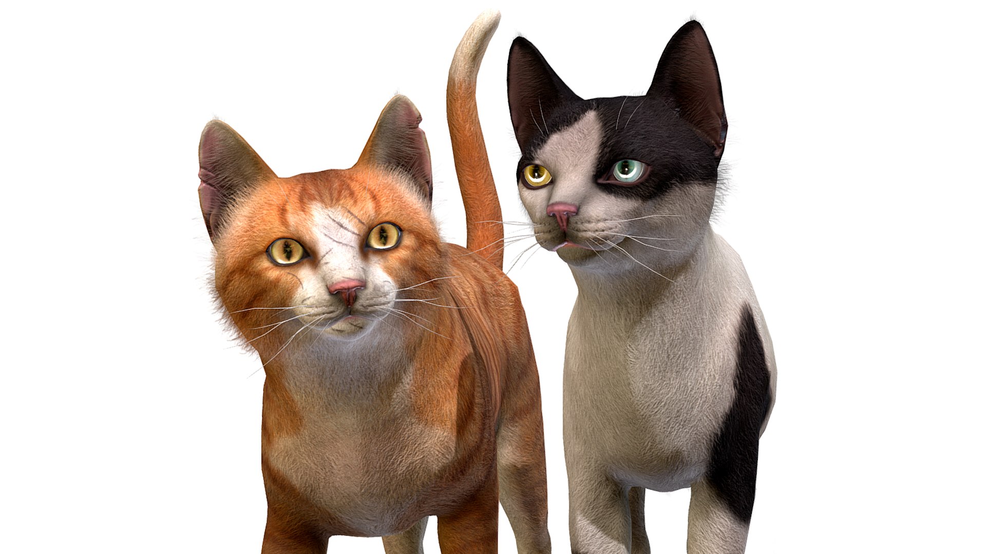 3D Cats -Stray - TurboSquid 2031406