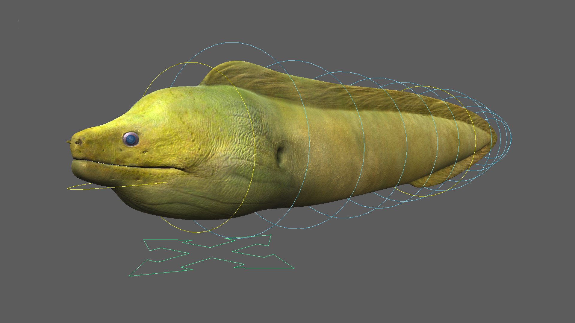 Realistic Green Moray Eel 3d Model