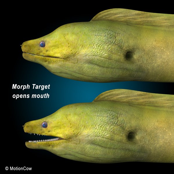 realistic green moray eel 3d model