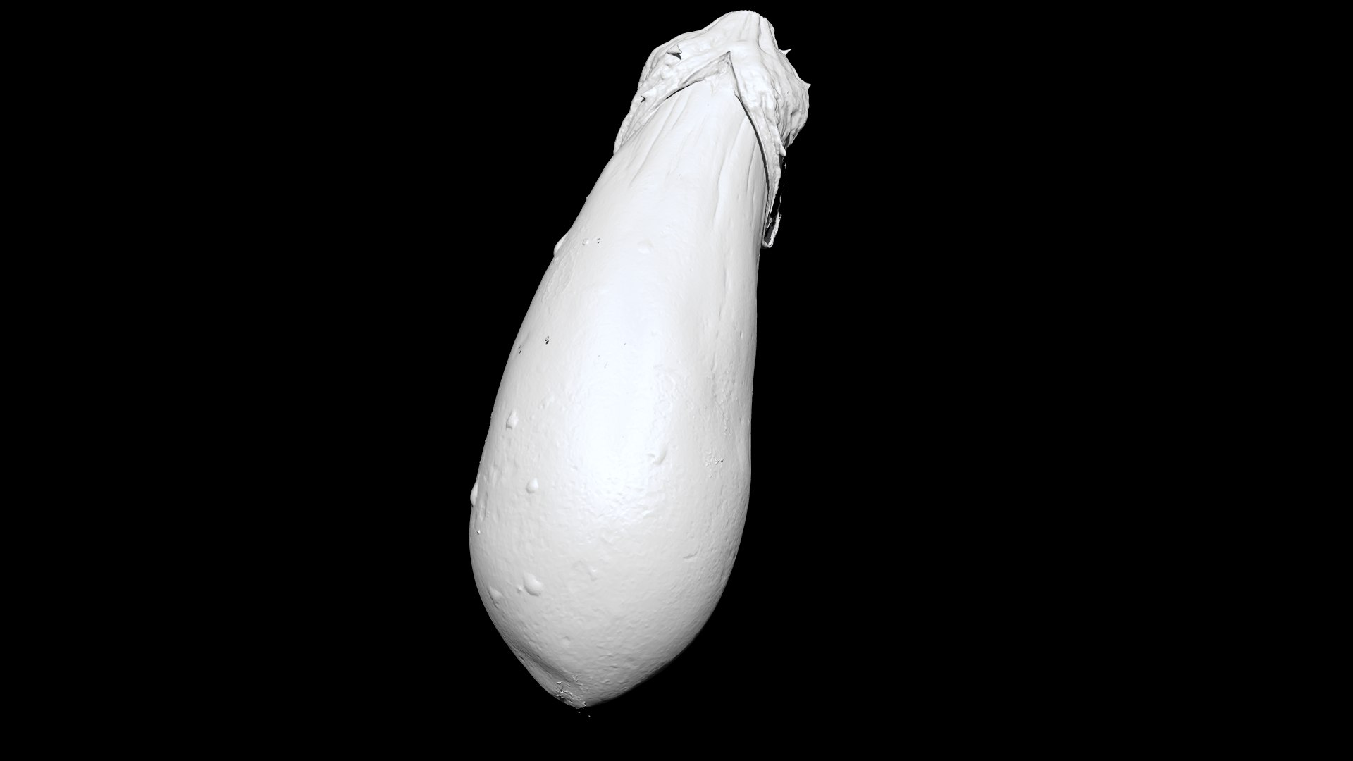 3D Eggplant 3D CT Scan Model Decimate 10 Percent - TurboSquid 1933481