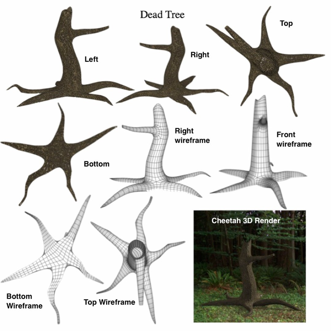 3d Dead Tree Model