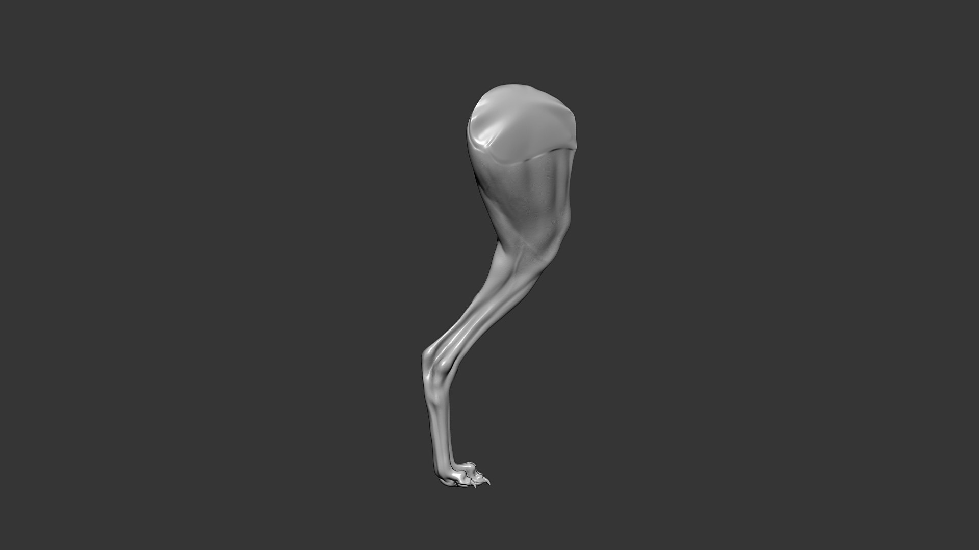 Dog Rear Leg Highpoly Sculpt 3D Model - TurboSquid 1807858