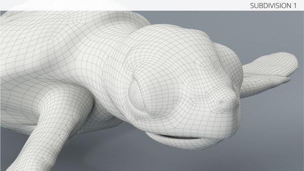 modèle 3D de Bébé tortue marine brune, modèle animé pour Maya ...