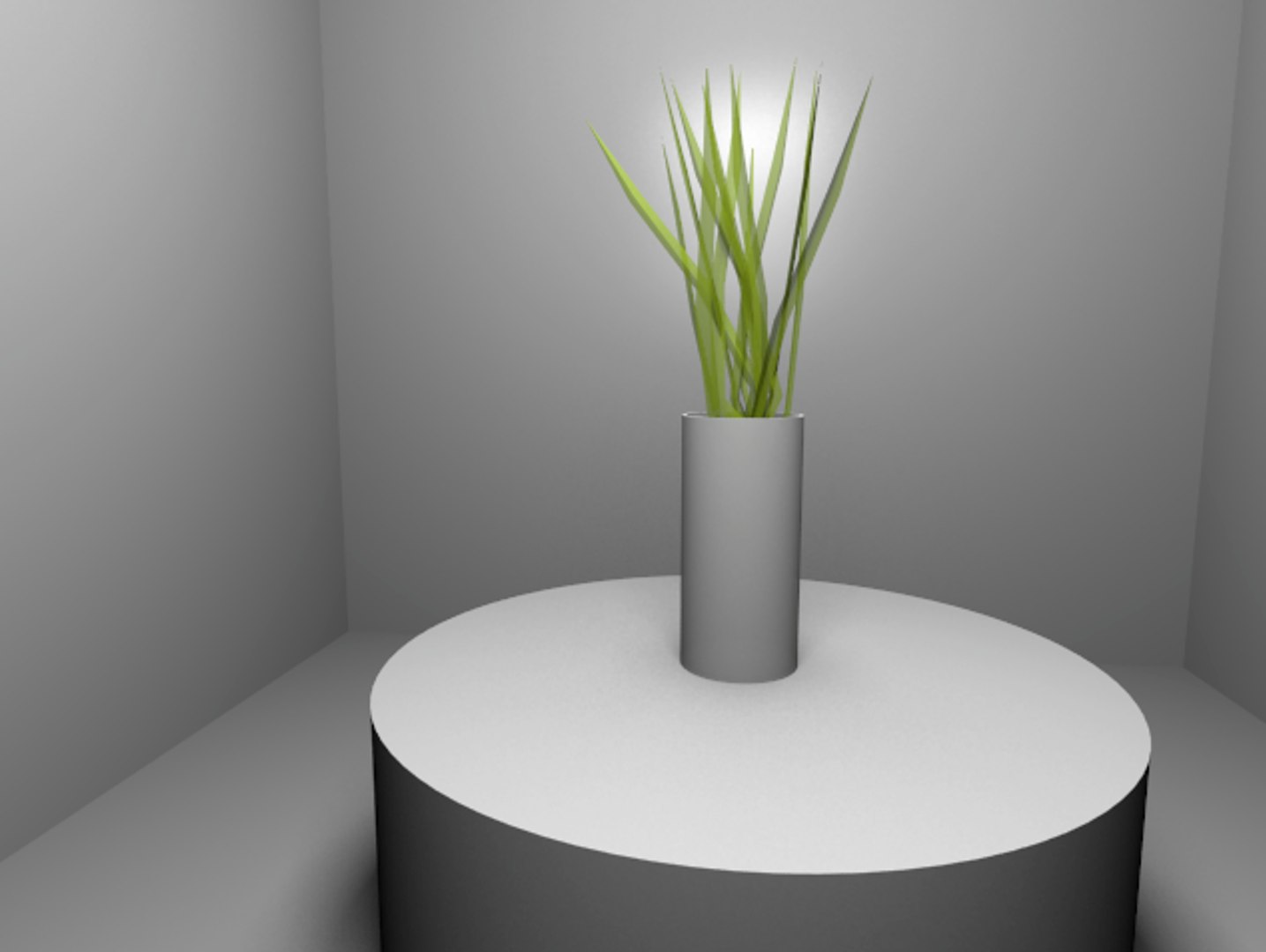 Modern Vase Plant 3d 3ds