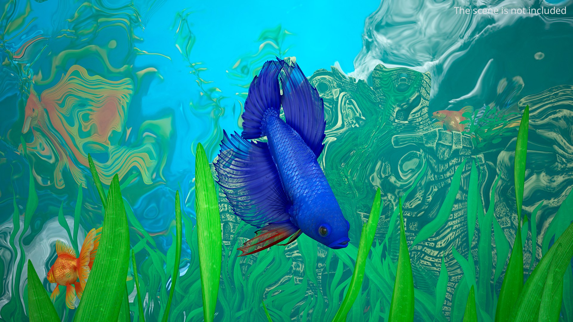 Blue Crowntail Betta Fish Diving Animated Rigged For Cinema 4D 3D ...