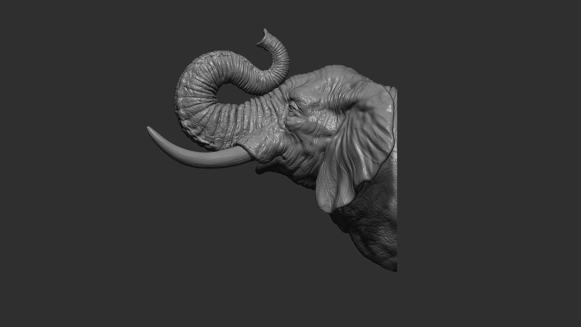 3D Elephant Raised Its Trunk Model - TurboSquid 2018701