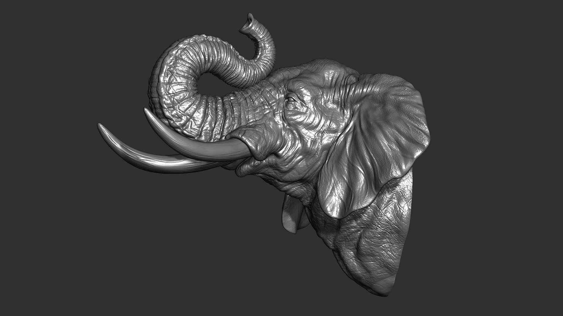 3D Elephant Raised Its Trunk Model - TurboSquid 2018701