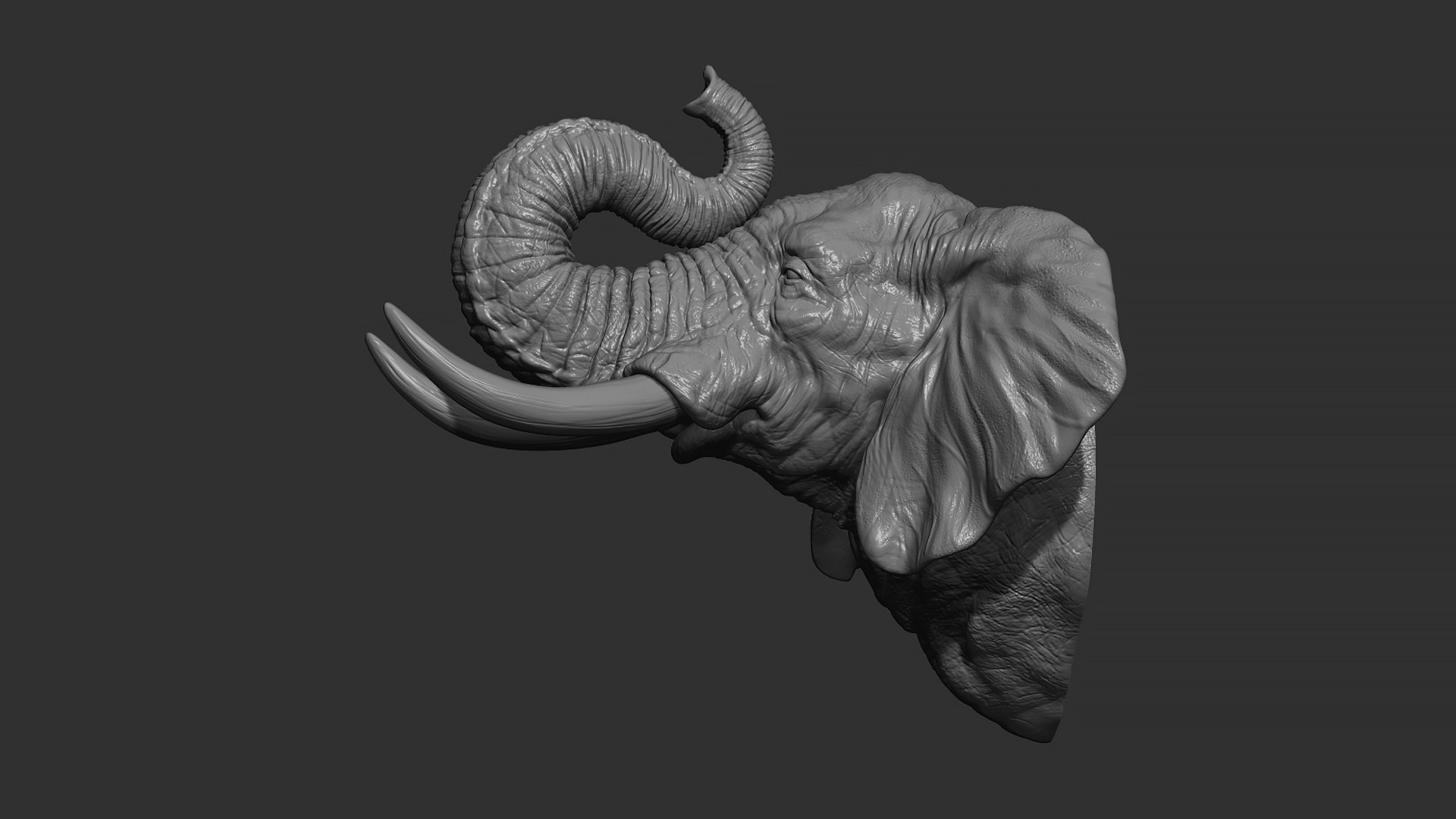 3D Elephant Raised Its Trunk Model - TurboSquid 2018701